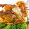 Turkey Temperature