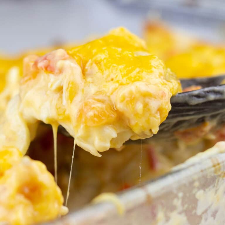 Things to Make with Shredded Chicken